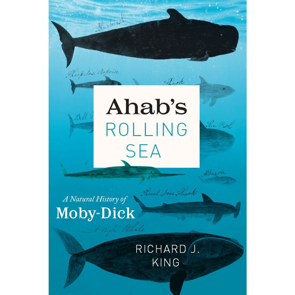 Ahabs Rolling Sea A Natural History Of Moby Dick King Richard J